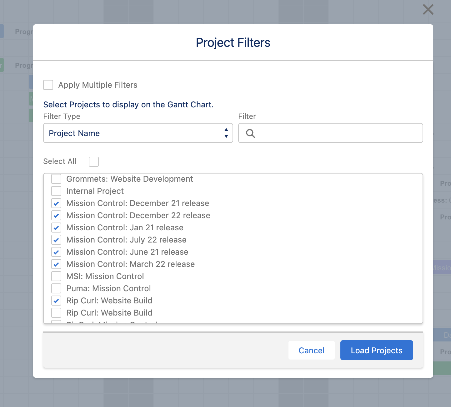 How do I use filters in the Gantt Chart?