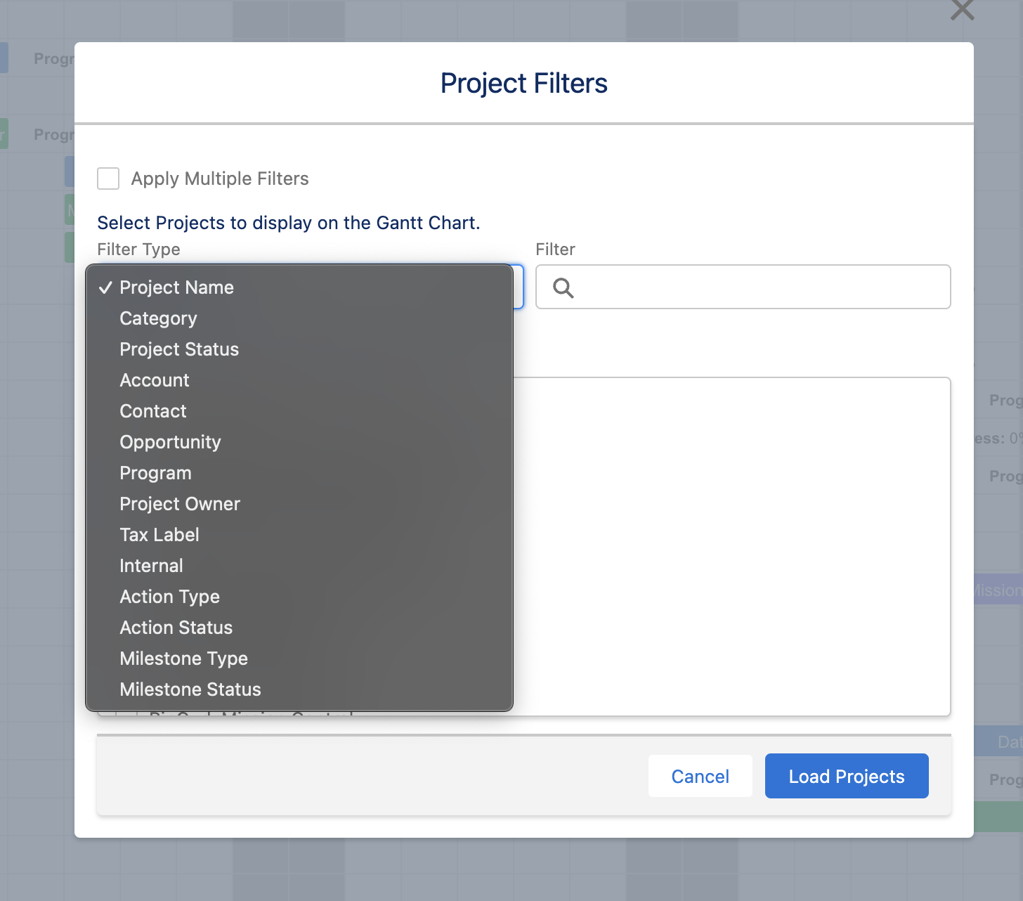How do I use filters in the Gantt Chart?