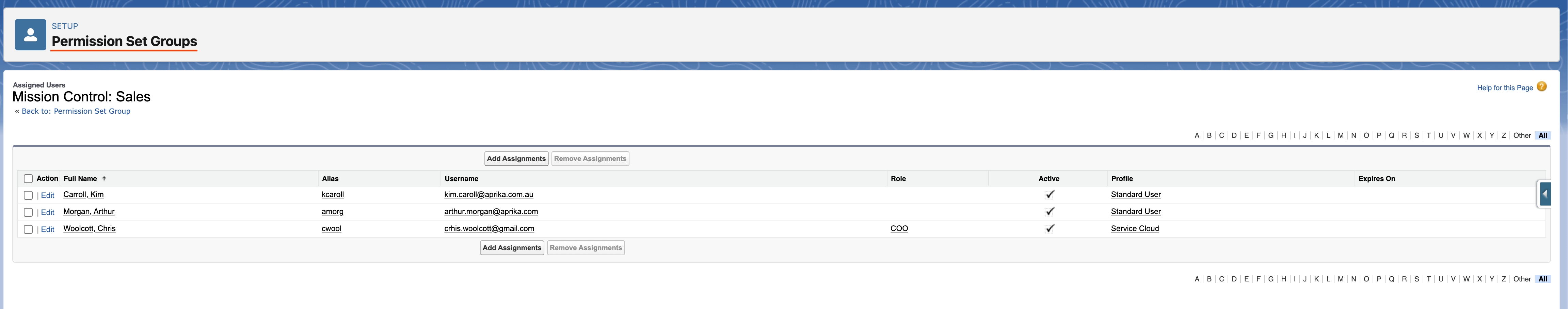 How To Hide Fields And Tabs From Specific Users