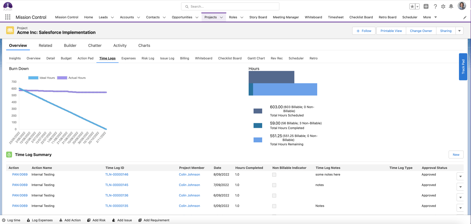 Project Overview - Time Logs Tab