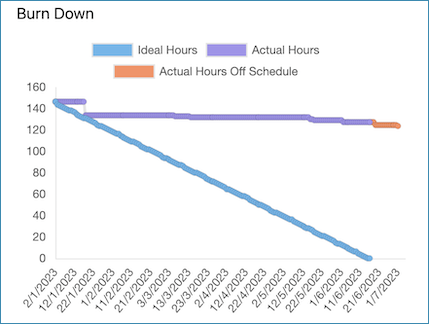 Project Overview - Time Logs Tab