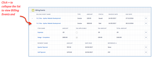 Project Overview - Billing Tab