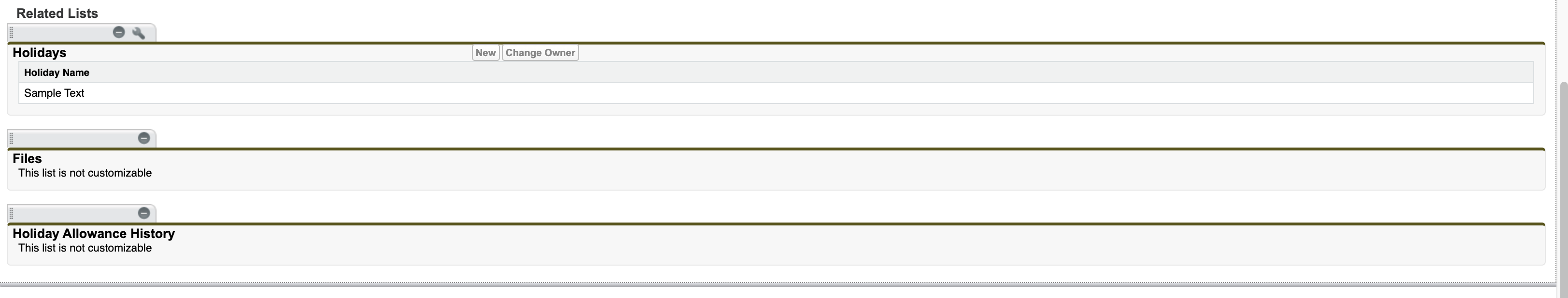 What is the Holiday Allowance Object?